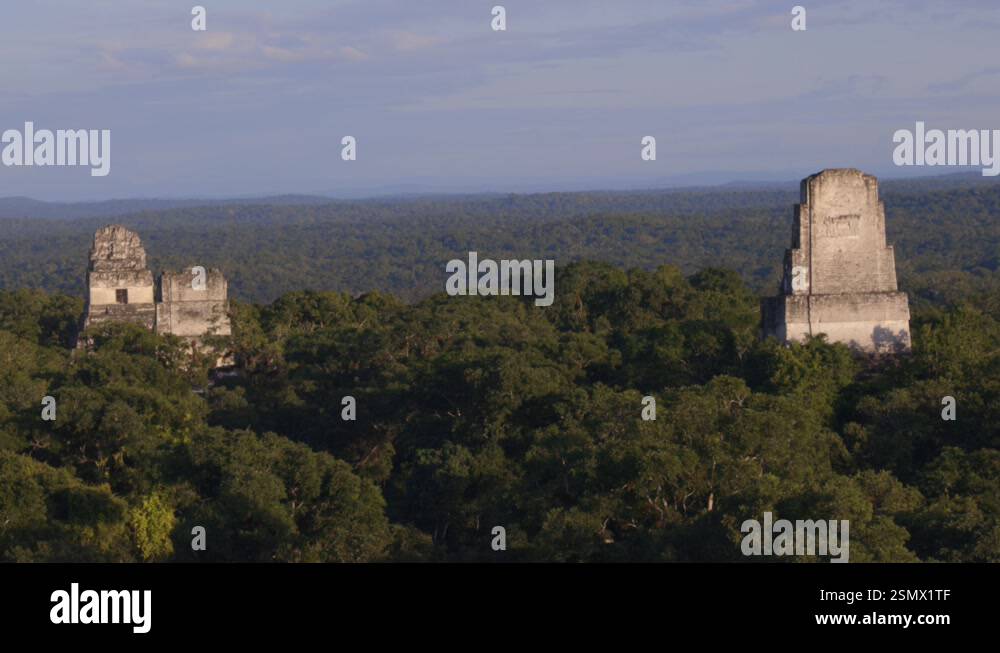 Tikal pyramid ruins Stock Videos & Footage - HD and 4K Video Clips - Alamy