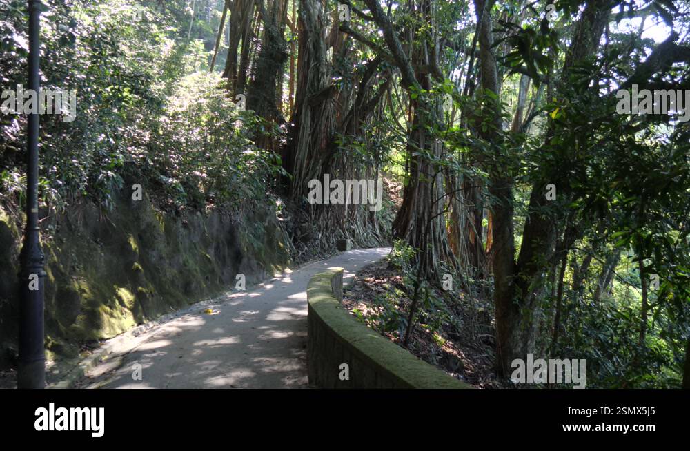 Hiking trails path paths Stock Videos & Footage - HD and 4K Video Clips ...