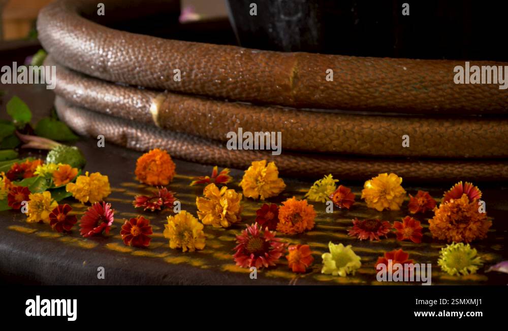 India Madhya Pradesh Amarkantak Amareshwar Mahadev Temple Stock Video ...