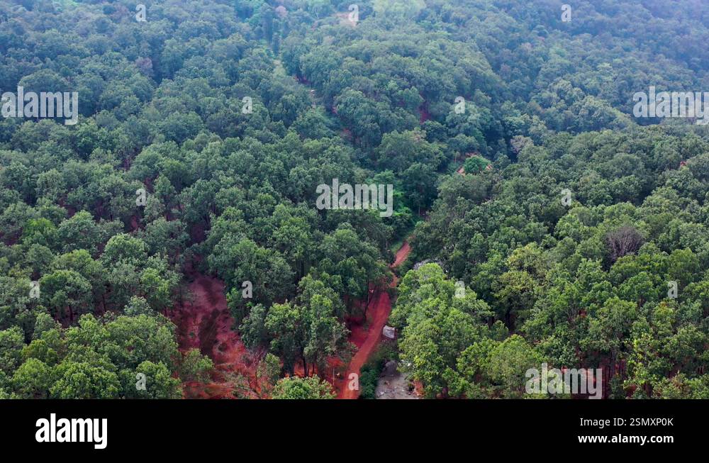 India Madhya Pradesh Amarkantak Kapildhara waterfalls Aerial Stock ...