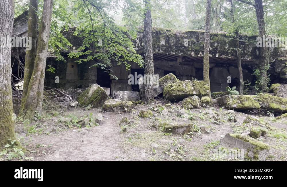 Wolf's lair Stock Videos & Footage - HD and 4K Video Clips - Alamy