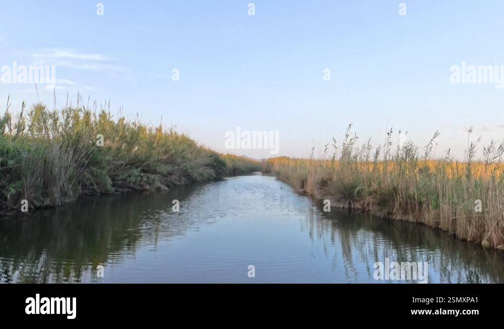 S'Albufera de Mallorca is a protected natural park that is accessed ...