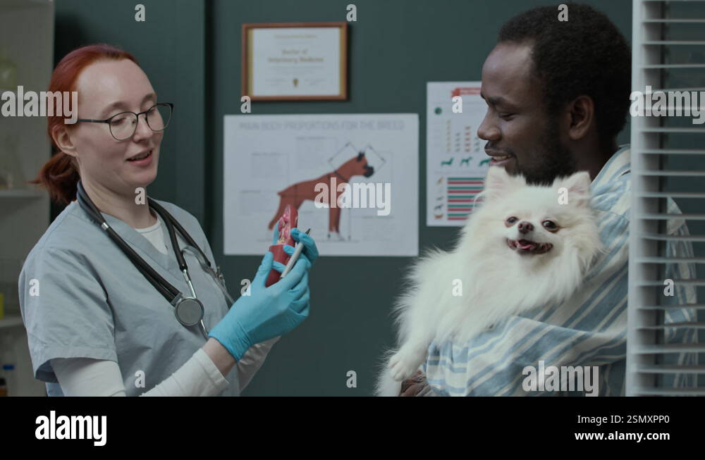 Female Vet Using Anatomical Model of Kidney while Consulting Pet Owner ...