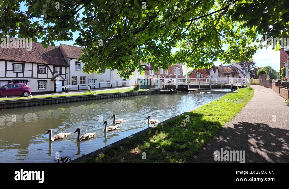 Newbury Berkshire, England. 15.08.2024. Video. Family of five young ...
