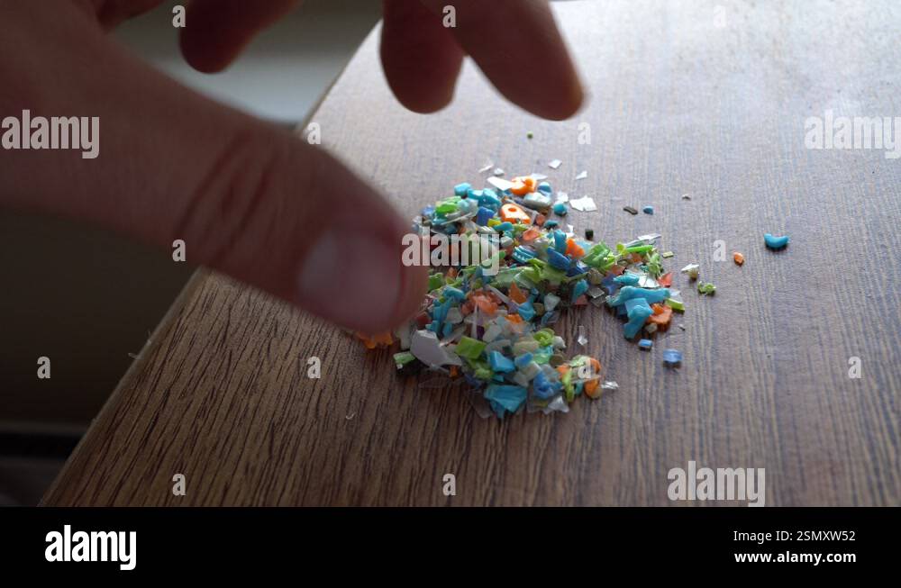 Inspecting a pile of microplastics collected from the sand on the beach ...
