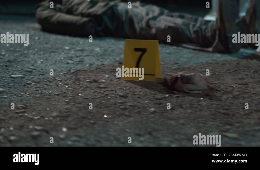 Detective and forensic scientists working hard at crime scene near ...