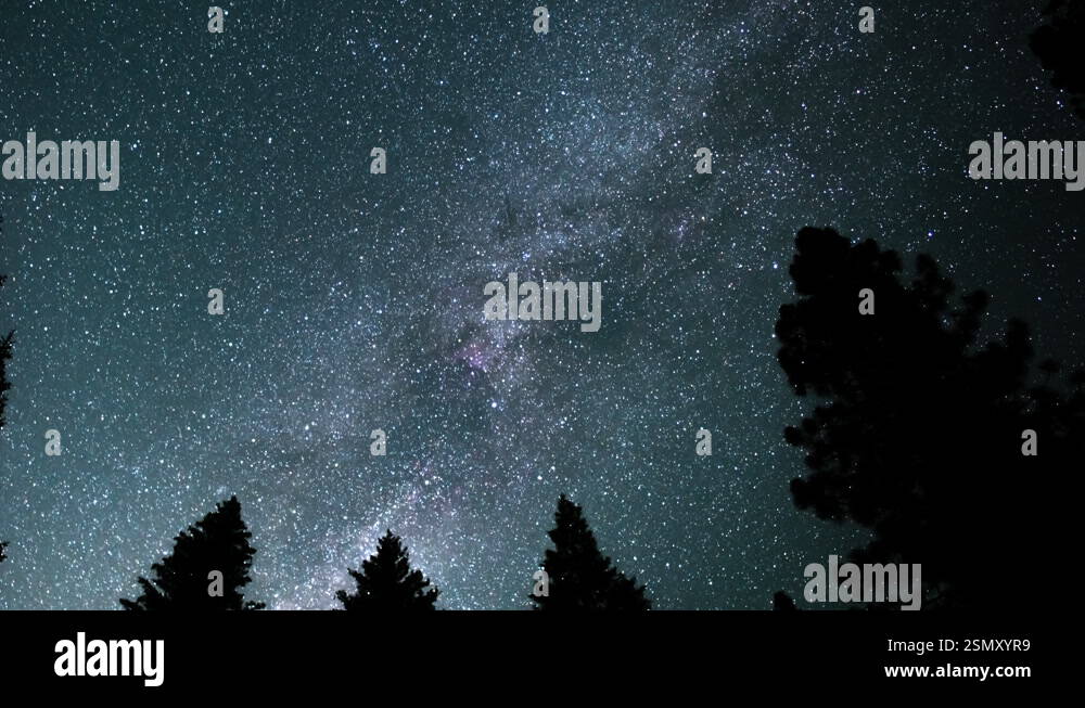 Sequoia National Park Milky Way Galaxy in Southwest Sky Perseid Meteor Shower Stock Video ...