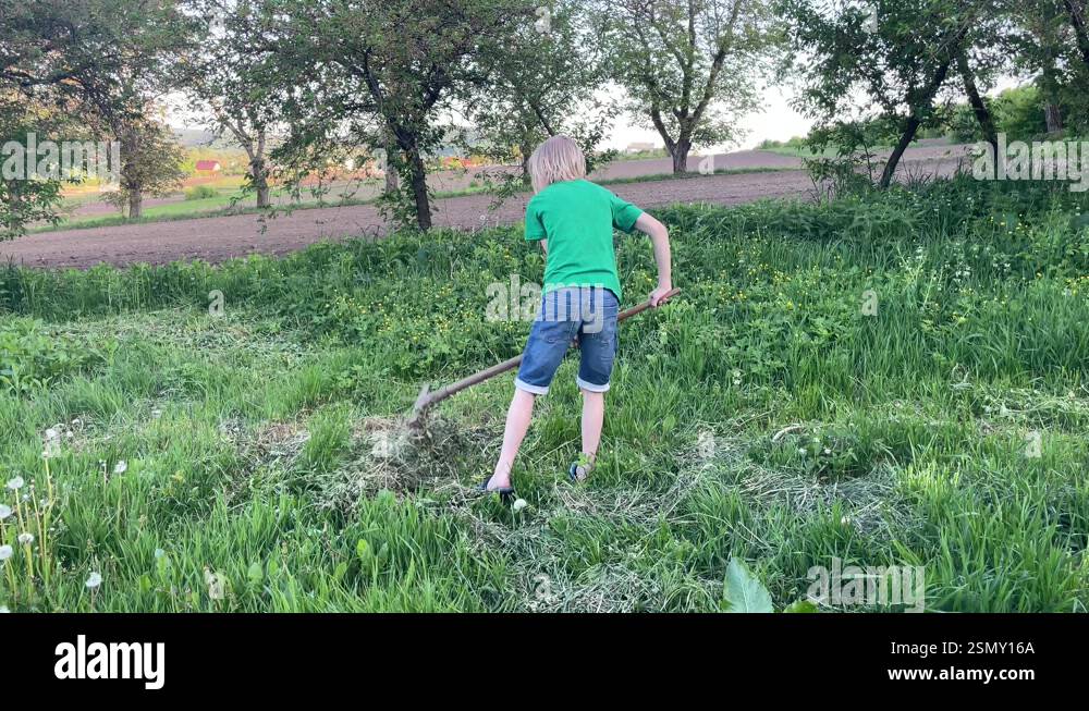 Young boy rakes cut grass in a garden, enjoying outdoor chores Stock ...