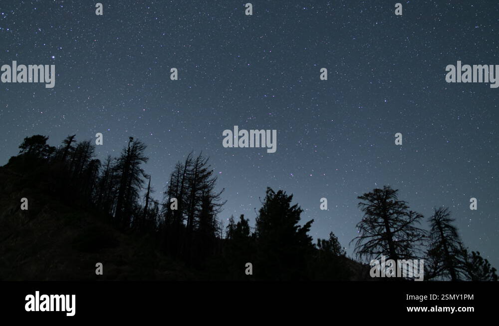 Stars Spinning Around Polaris Over Alpine Forest 24mm Northwest Sky ...