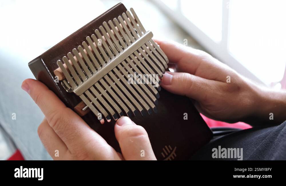 Rare musical instrument Stock Videos & Footage - HD and 4K Video Clips ...