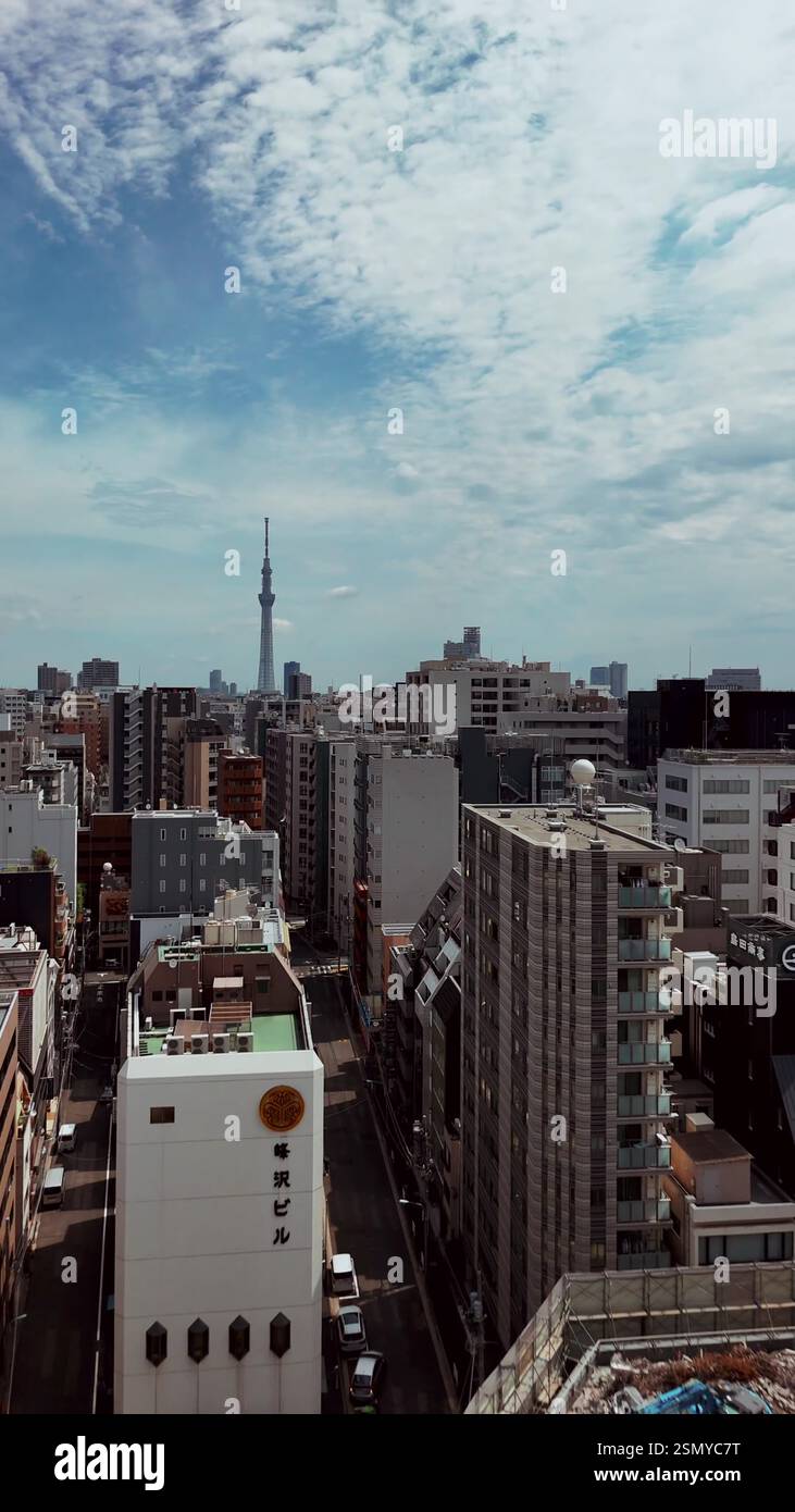tokyo vertical aerial shot between building with the Tokyo tower on the ...