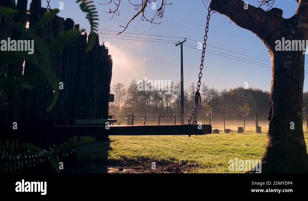 A peaceful morning scene of a wood swing gently swaying from tree in a ...