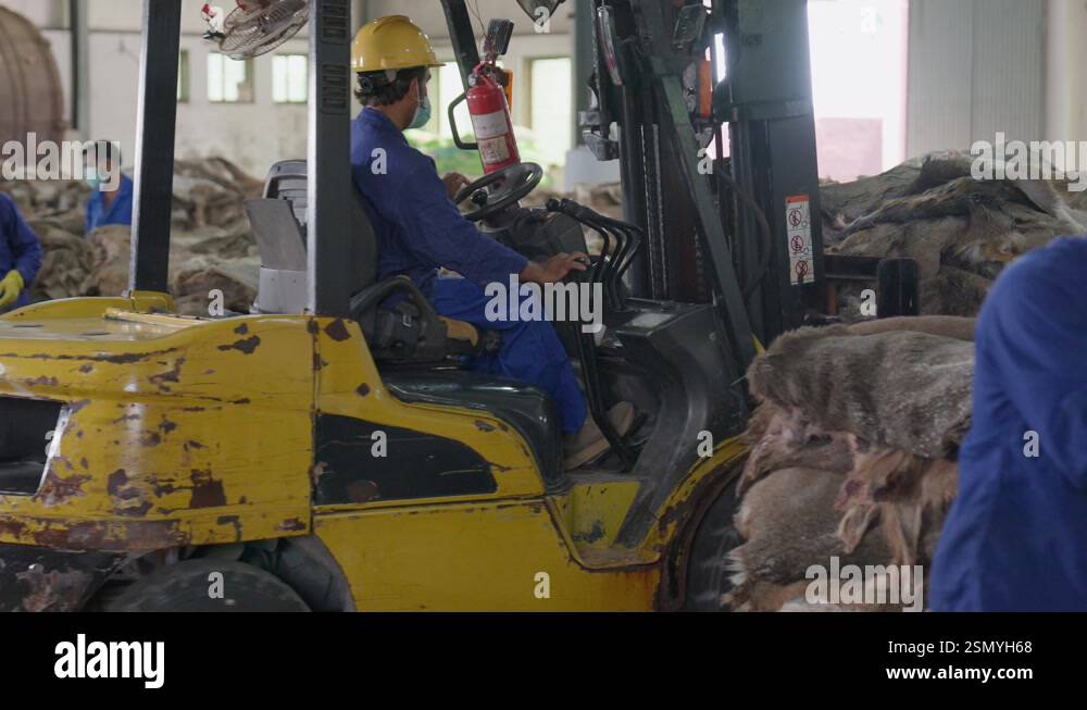 Lahore, Pakistan - 06/10/2024: Forklift Moving A Skid Of Animal Hides ...