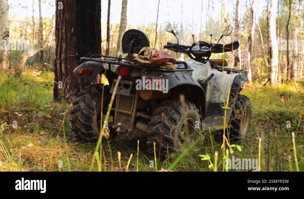 quad bike STELS ATV 500GT in forest. All Terrain Vehicle outside Stock ...