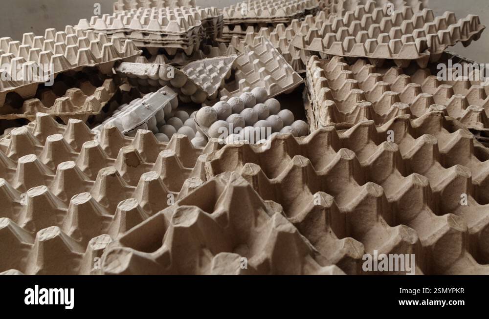 Paper egg cartons. Used empty paper egg packaging waste for recycling ...