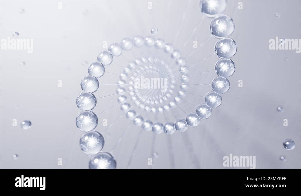 Cell division shuttle arranges penetrating essence essence ball ...