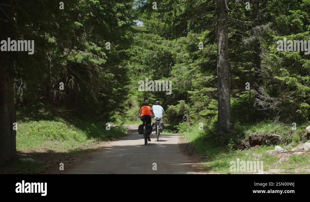 Two bike riders ride on a road crossing a green forest with tall pine ...