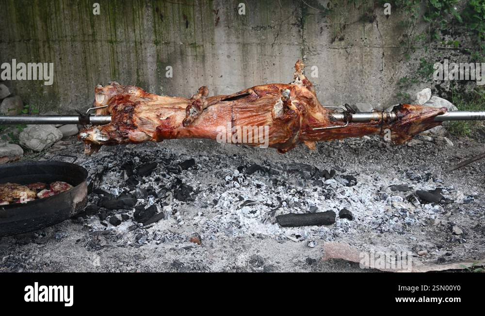Roasted lamb. Sheep on a spit above fire in nature. Roasted meat Stock ...