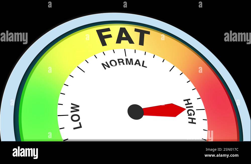 Fat Level Text or Word Low and Medium to High Meter Concept Animation ...