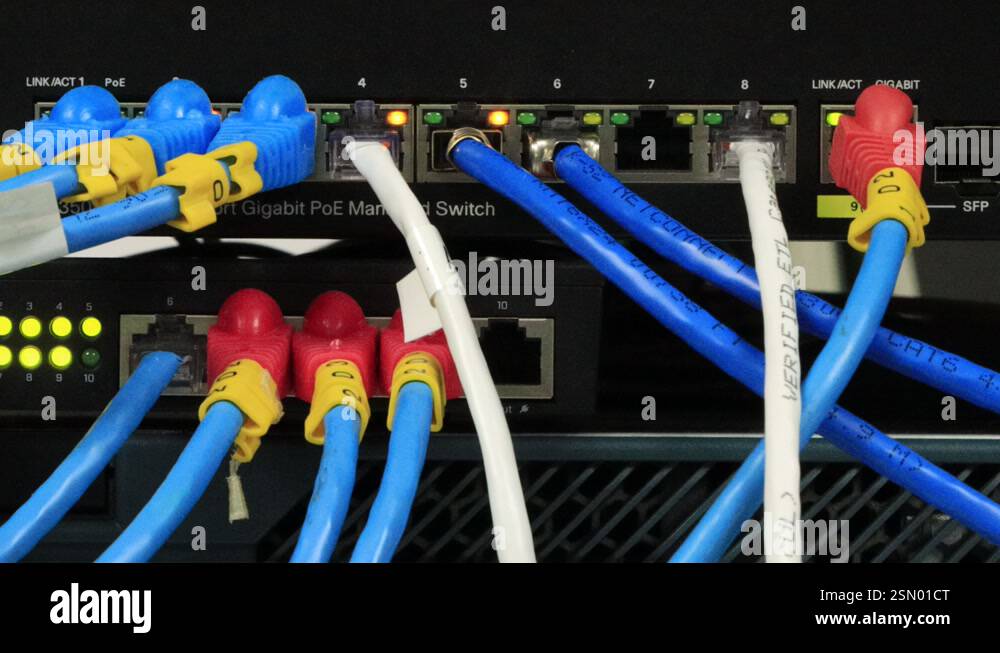 cable network, fiber optic cable connected to switch port in server ...