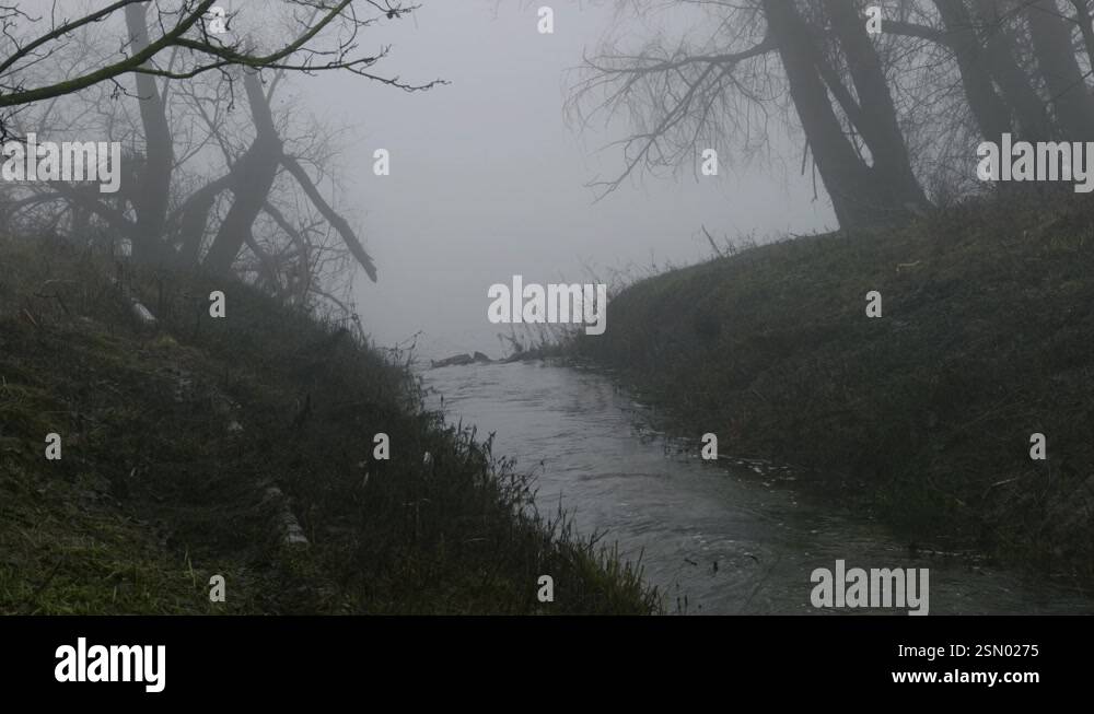 A misty stream runs through a forest, surrounded by fog and barren ...