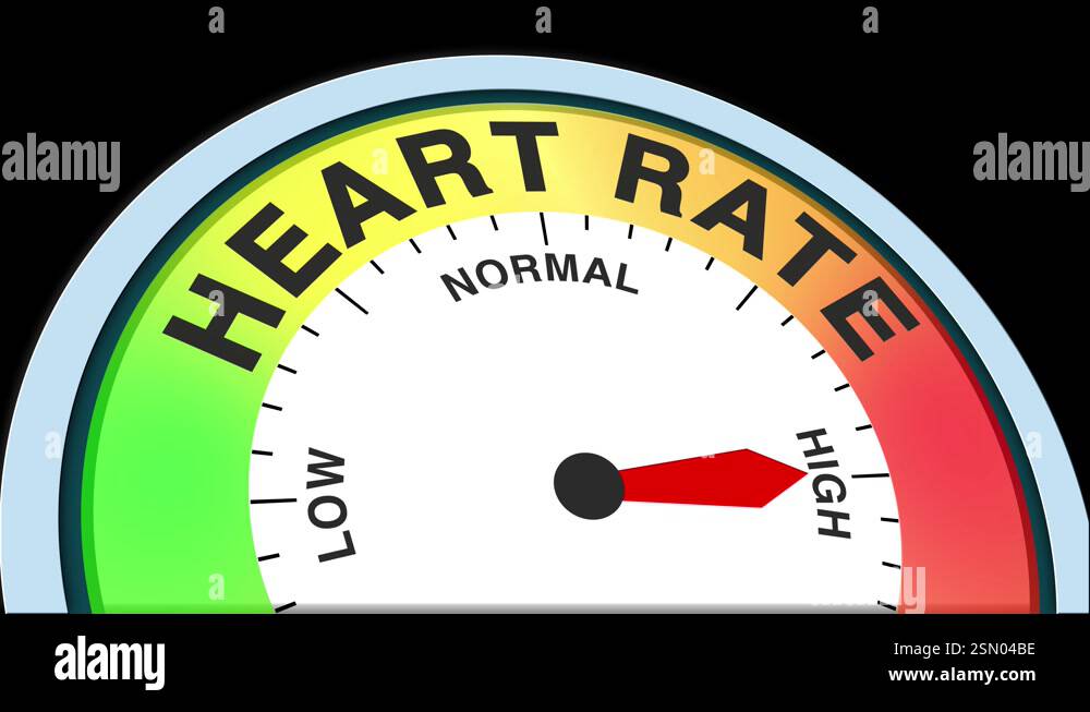 Heart Rate Level Text or Word Low and Medium to High Meter Concept ...