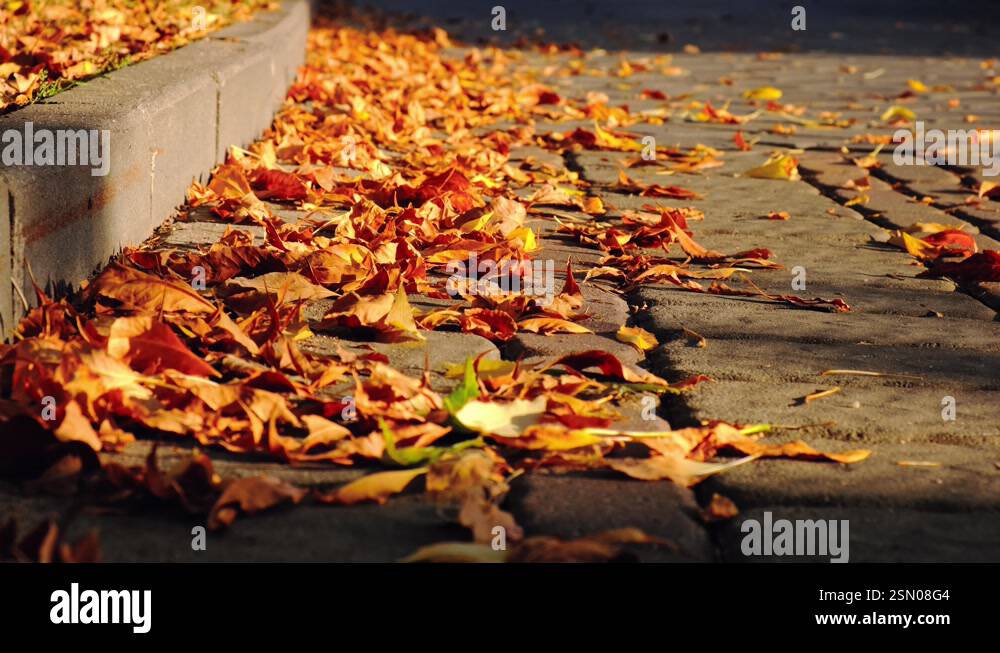 Kerb curb pavement footpath sidewalk Stock Videos & Footage - HD and 4K ...