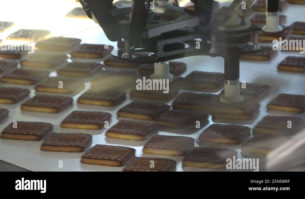 Robot packs sweet cookies on the conveyor of a confectionery factory ...