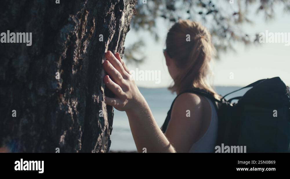 Woman tourist hand feeling pine tree bark close up travel at seaside ...