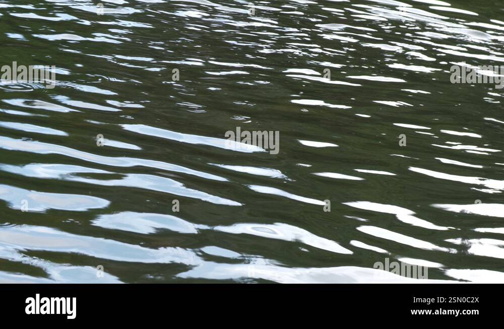 Steady footage of rippling waters of a pond Stock Video Footage - Alamy