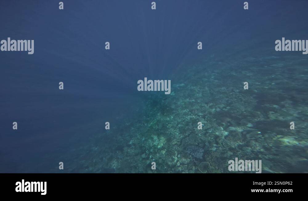Rays of sunlight above the depths of the Indian Ocean Stock Video ...