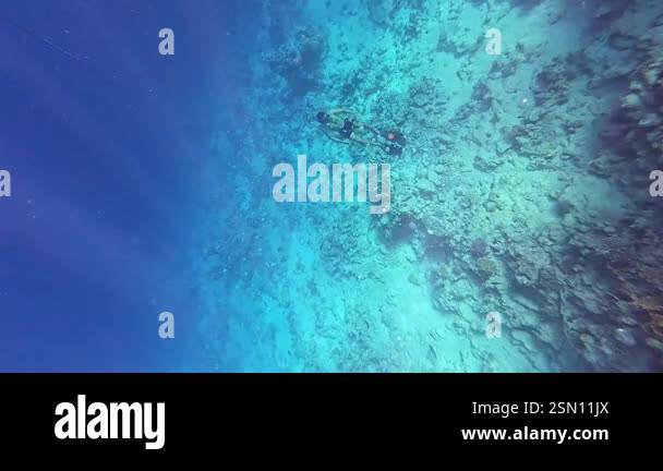 free diver man underwater on sand diving some fish around. High quality ...