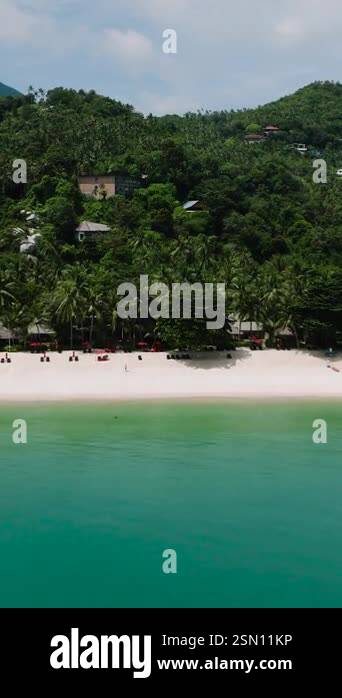 A peaceful beach with white sand and a backdrop of green hills and palm ...