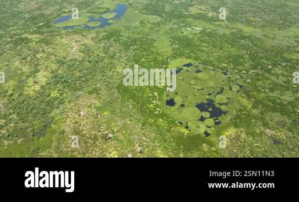 Wetlands with forest and vegetation, lakes and ponds in Agusan Marsh ...