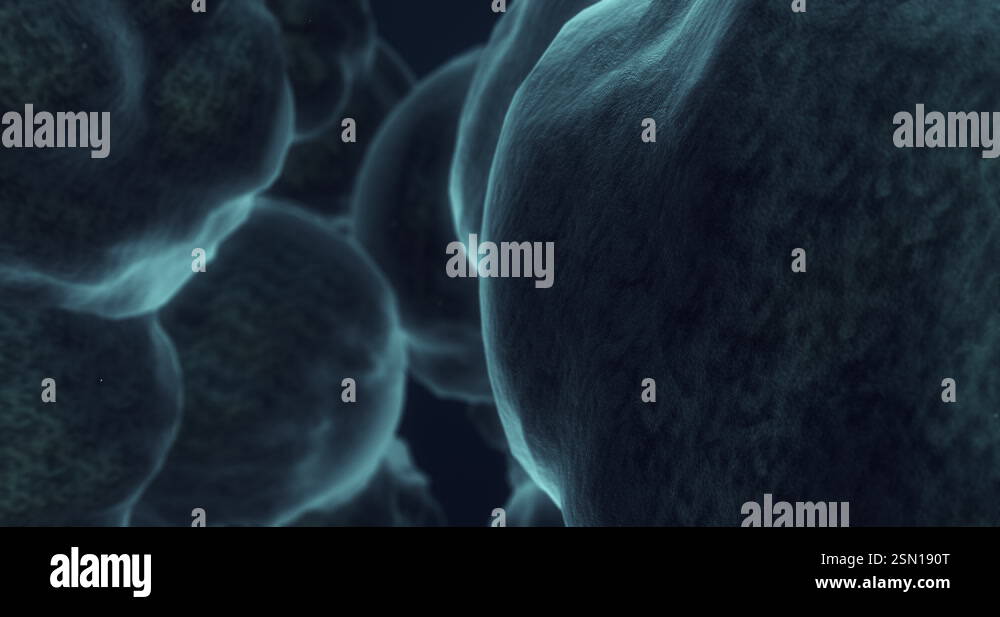 Microscopic view of organic cells moving Stock Video Footage - Alamy