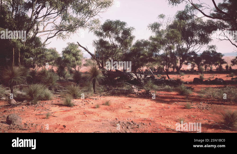 A natural landscape with trees and bushes in a field Stock Video ...