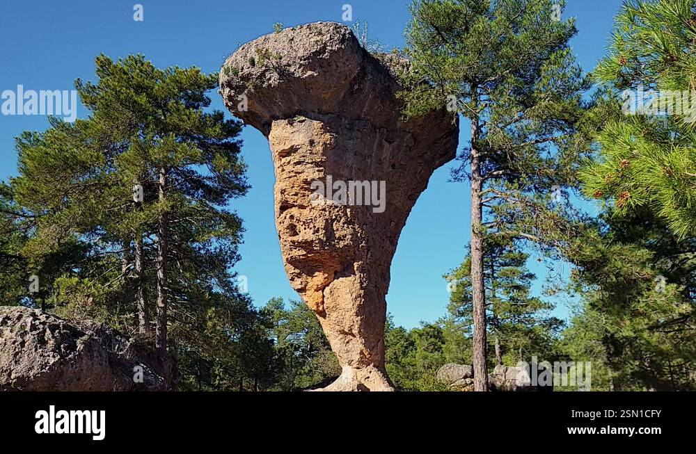 Vertical rock formation in the shape of a tree next to a forest. Stone ...
