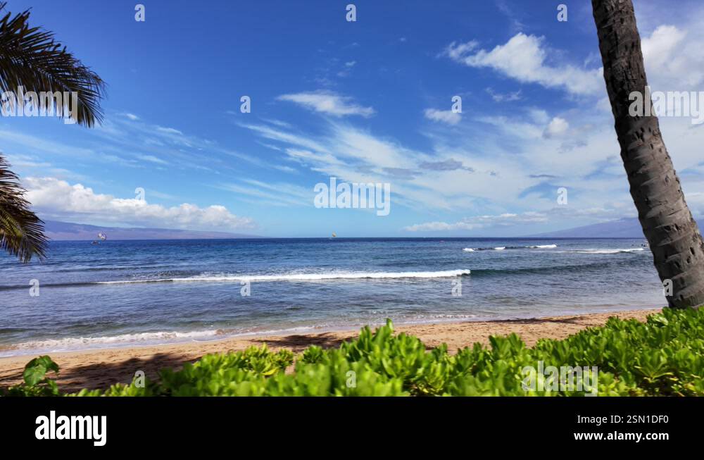 Beach-Hopping in Maui: The Best Spots for Sun and Surf Stock Video ...