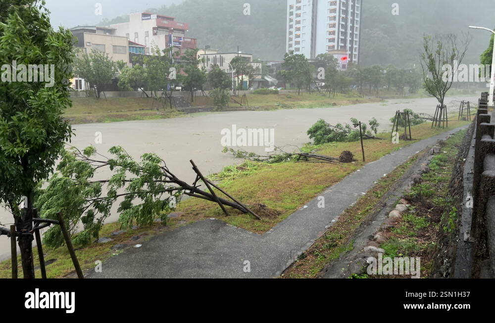 SUAO, TAIWAN: 2024/07/24 Downed Trees And Heavy Rain After Hurricane ...