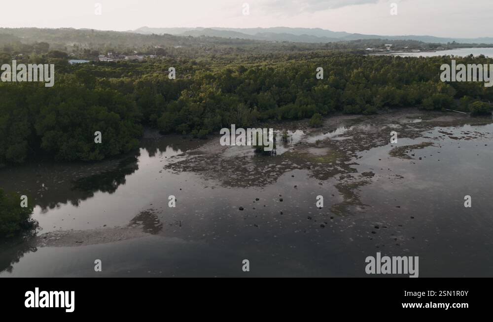 Panoramic aerial pan above mangrove forests of Taloot Argao Port's ...