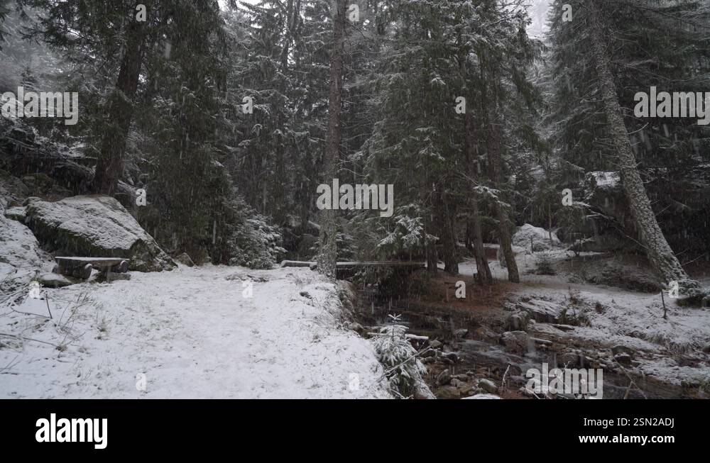 Snow Falling On The River With Rocks And Tree Trunks In Switzerland ...