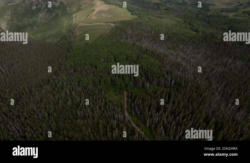 Summer Last Dollar Road aerial drone pan down birdseye view Mount ...