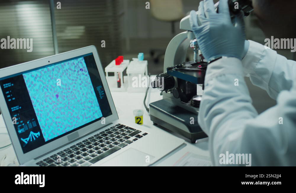 Forensic Technician Using Digital Microscope Connected to Laptop Stock ...