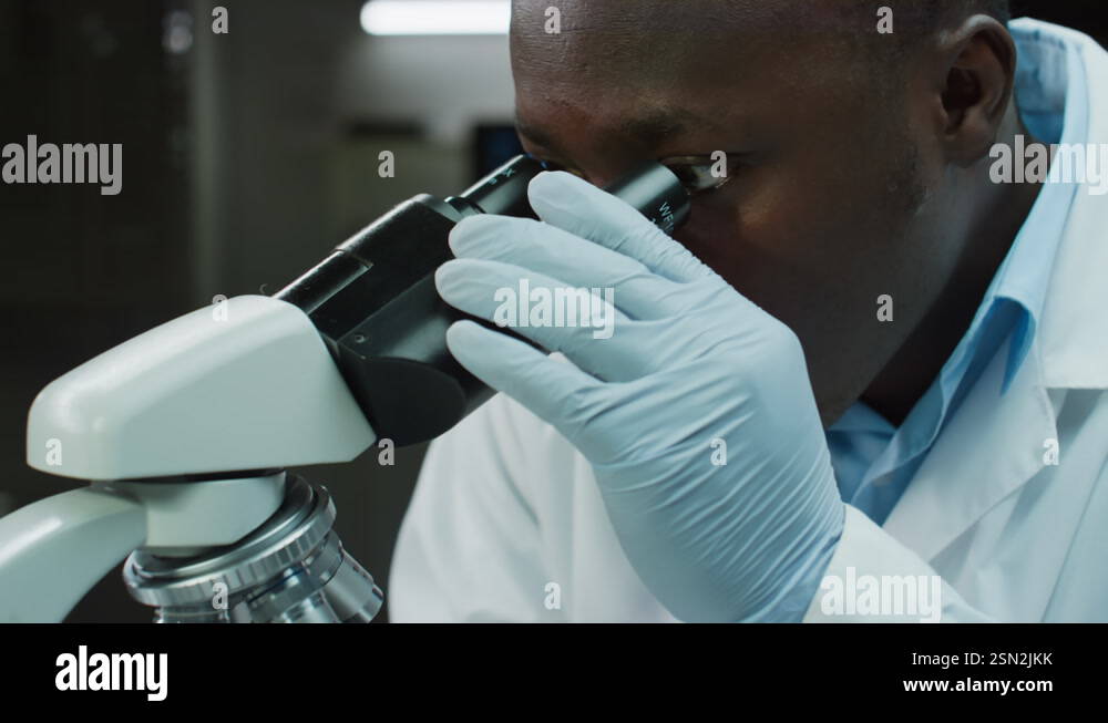 Forensic Scientist Examining Blood under Microscope in Crime Lab Stock ...