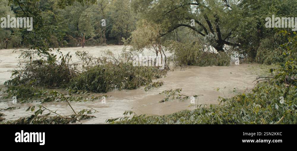 River floods overflow riverbed trees under water debris slow motion ...