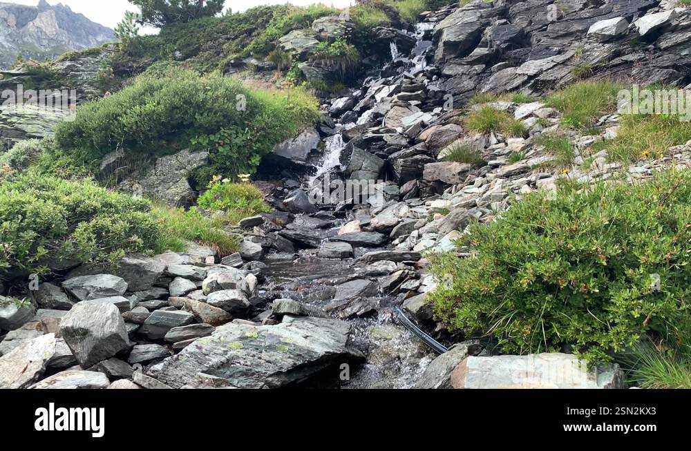 A wild river in the mountains through a stony stream bed in the middle ...