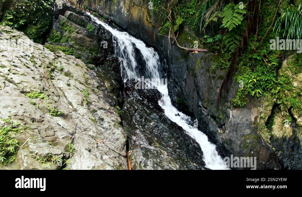 A gentle stream flows between two rock faces covered in greenery, high ...