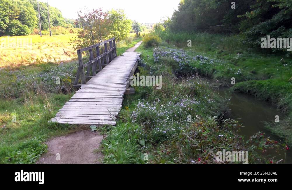 Fore River Sanctury, Portland, Maine Fore River stream canal, trees ...