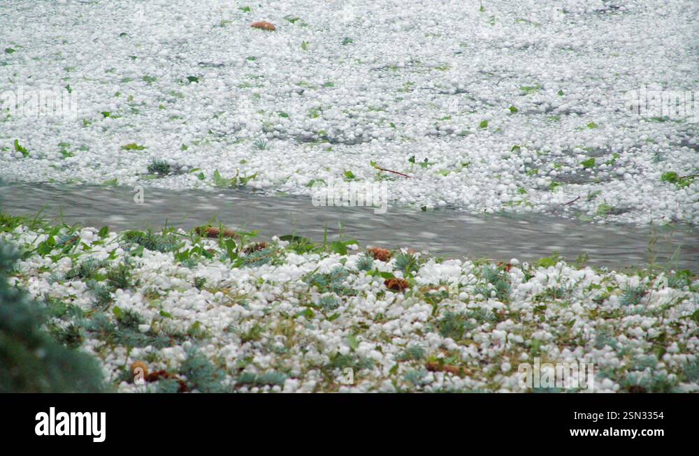 Hail stones litter street and grass as lightning strikes, rain falls ...