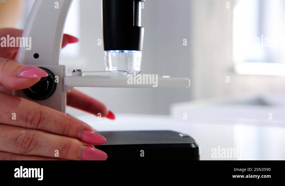 Laboratory stage Stock Videos & Footage - HD and 4K Video Clips - Alamy